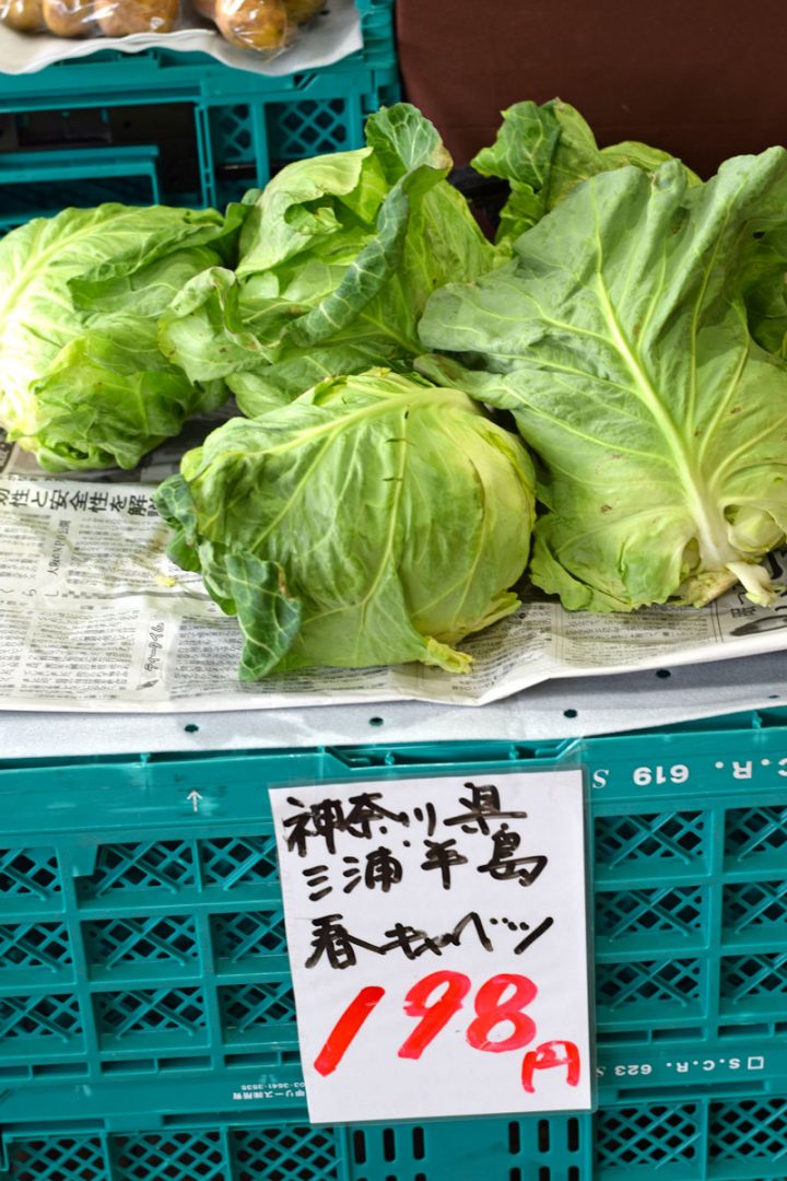 Japanese Cabbage – Easy Recipe in a Can!- eyes and hour