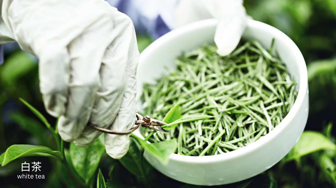 Green Tea vs White Tea: Your Tea Guide (Which is better?) - eyes and hour